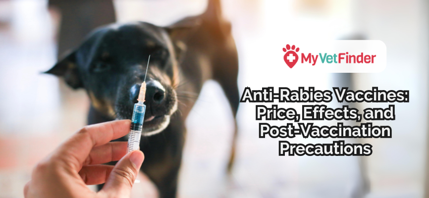 Anti-Rabies Vaccines: Price, Effects, and Post-Vaccination Precautions ...